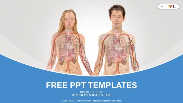 x-ray Powerpoint templates and Google Slides themes -Slidego