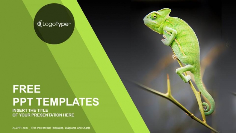 animal Powerpoint templates and Google Slides themes -Slidego