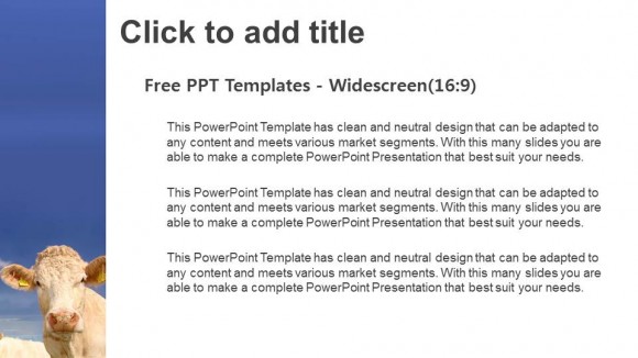 Cows in the field PowerPoint Templates - Powerpoint and google slides ...