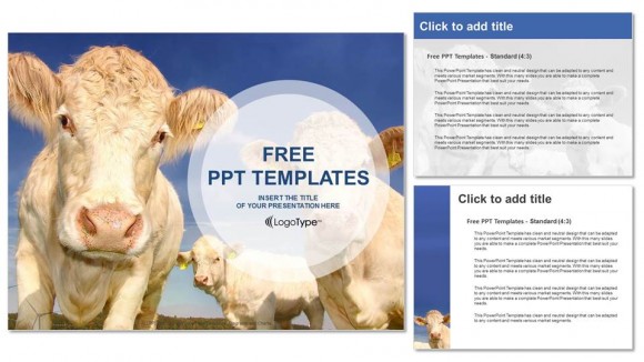 Cows in the field PowerPoint Templates - Slidesgo templates