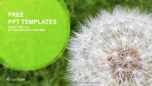 Dandelion On Grass-Nature PPT Templates - Slidesgo templates
