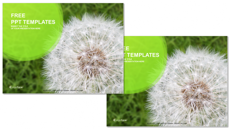 Dandelion On Grass-Nature PPT Templates - Powerpoint and google slides ...