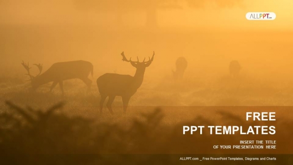 wildlife Powerpoint templates and Google Slides themes -Slidego