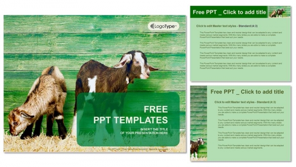 Little goats PowerPoint Templates - Slidesgo templates