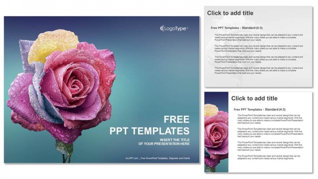 Multi Colors Rose PowerPoint Templates - Powerpoint and google slides ...