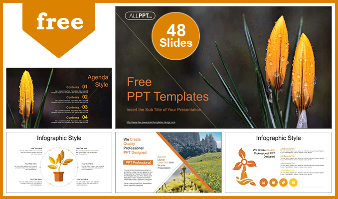 colorful Powerpoint templates and Google Slides themes -Slidego