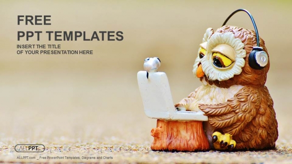 Owl reads the information on the laptop PowerPoint Template ...
