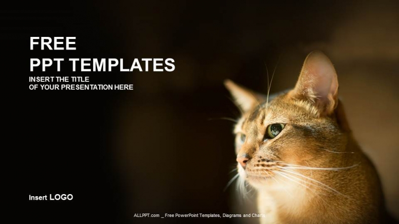 veterinary Powerpoint templates and Google Slides themes -Slidego