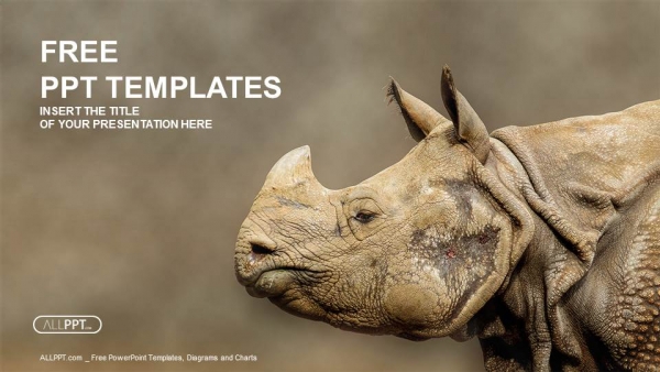 Rhino, Rhinoceros head shot PowerPoint Templates - Slidesgo templates