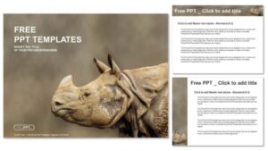 Rhino, Rhinoceros head shot PowerPoint Templates - Slidesgo templates