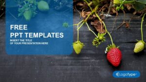 strawberry Powerpoint templates and Google Slides themes -Slidego