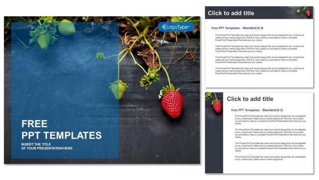 Strawberry field PowerPoint Templates - Slidesgo templates