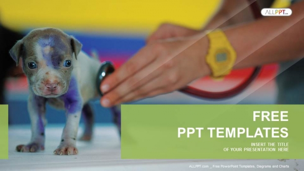 veterinary Powerpoint templates and Google Slides themes -Slidego