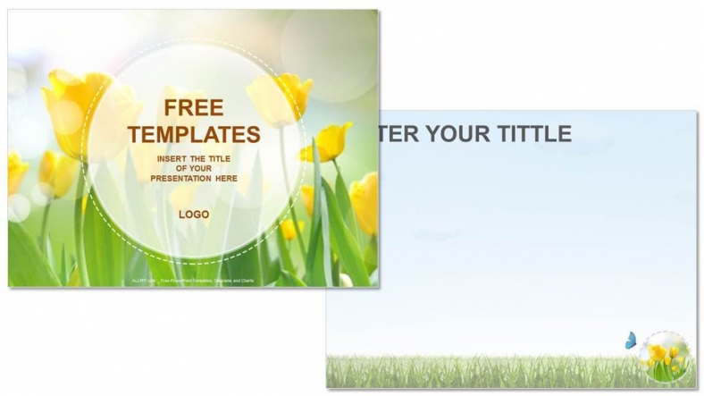 Yellow Tulips Nature PowerPoint Templates - Slidesgo templates Yellow Tulips Nature PowerPoint Templates - Slidesgo templates