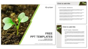 Young plant sprouting PowerPoint Templates - Slidesgo templates