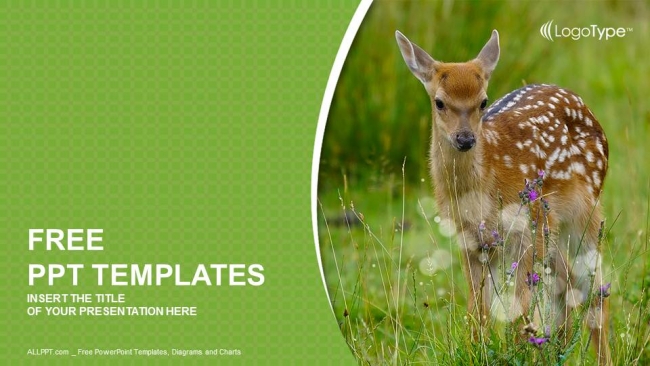 Young sika deer PowerPoint Templates - Slidesgo templates