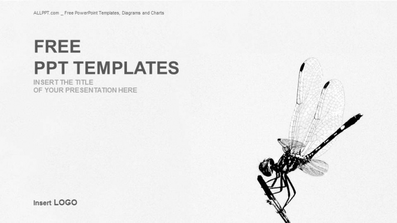 Dragonfly-Nature PowerPoint Templates - Powerpoint and google slides ...