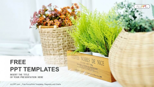 Small plant pot displayed PowerPoint Templates - Slidesgo templates