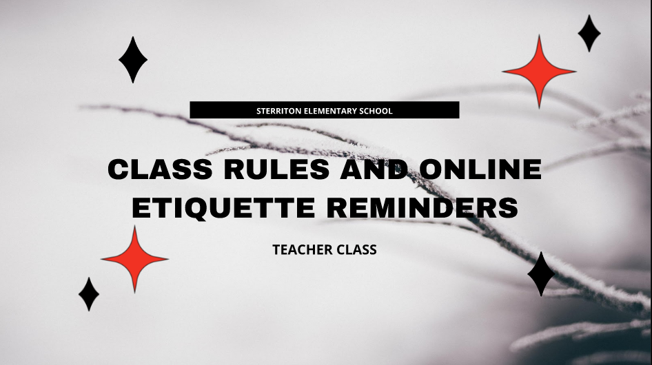 Class Rules and Online Etique Reminders - Slidesgo templates